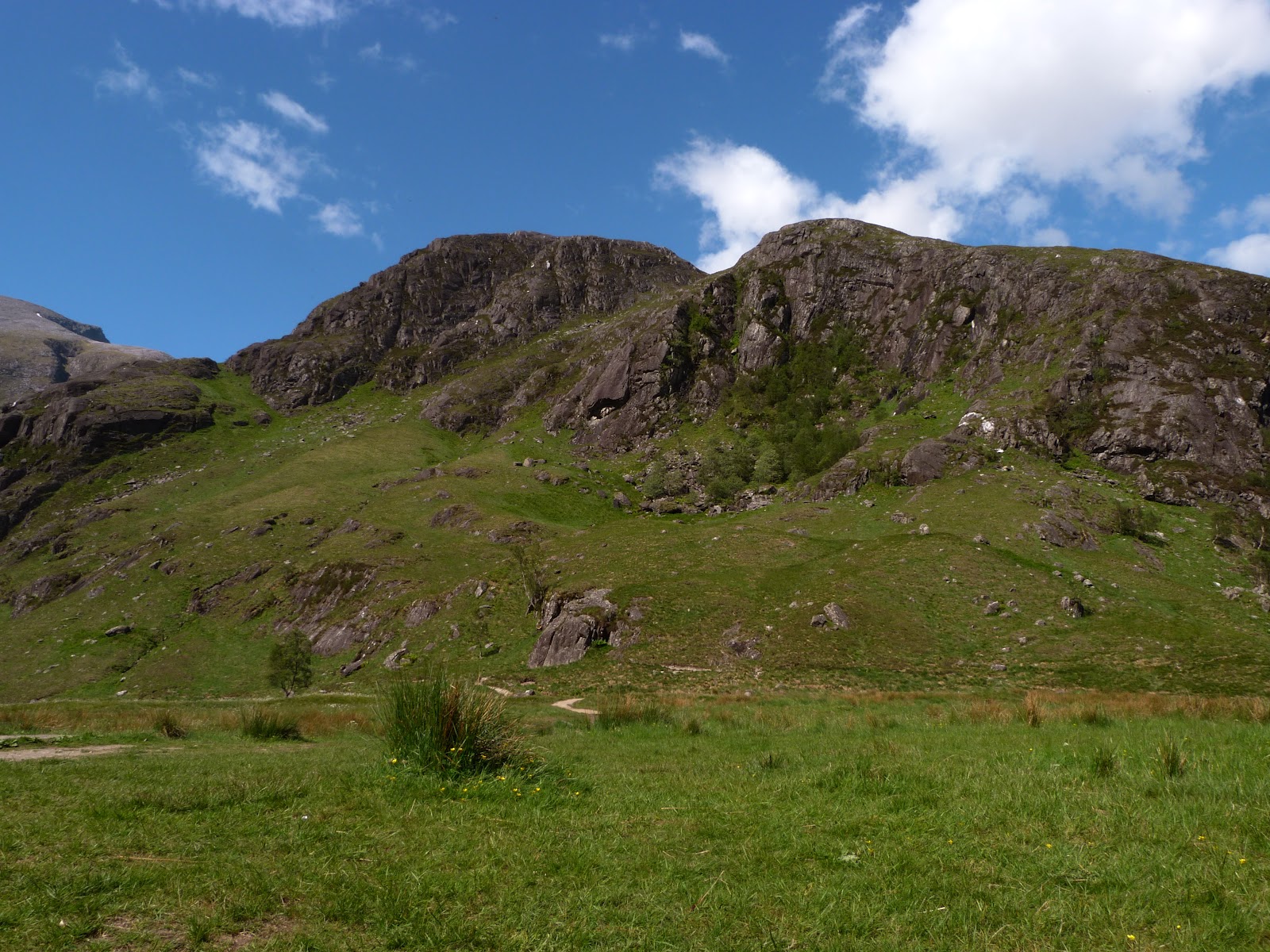 Lamsdell Bird Ringing and Wildlife Blog: Fersit, near Fort William ...