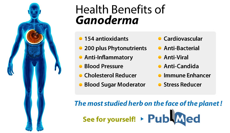 DXN : FIVE STEPS TO REGAIN YOUR HEALTH USING GANODERMA