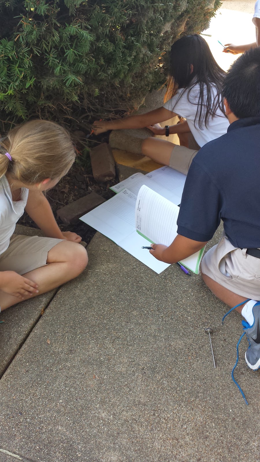 Ms. Shaffer's Classroom