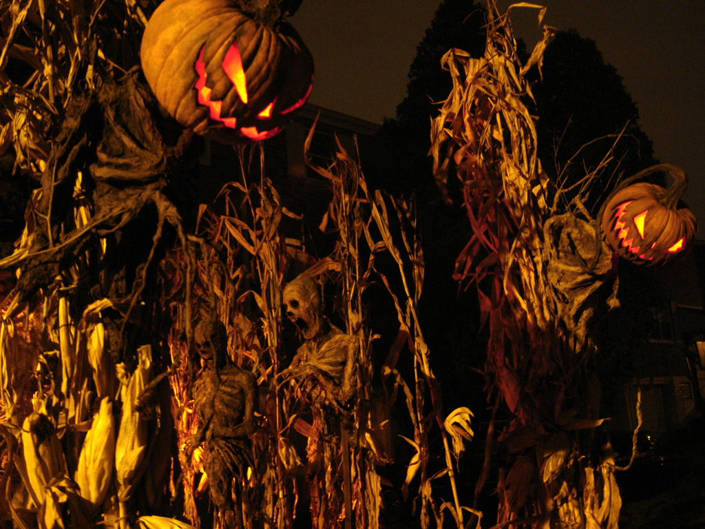 Dr. Theda's Crypt: Pumpkinrot....