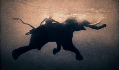 LA CIENCIA DE LA VIDA: Fotografías de animales de Gregory Colberts