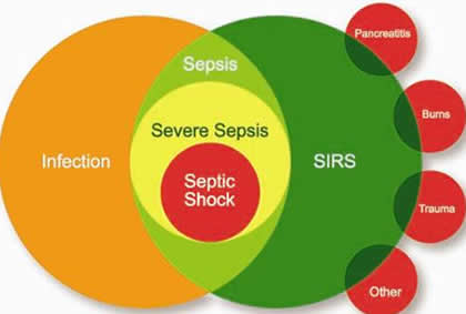 Shock & Kegagalan Multi Organ: DIC, SIRS, SEPSIS, MODS - askep