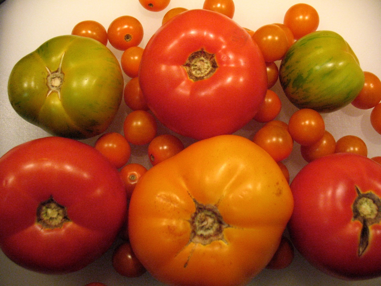Cook In / Dine Out: Tomatoes, Glorious Tomatoes