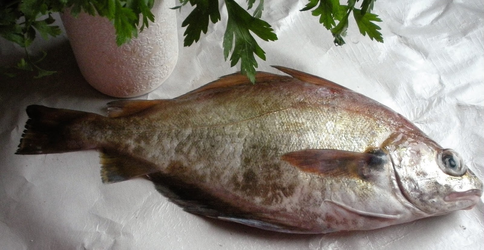 Aquí se cocina: Fanecas fritas