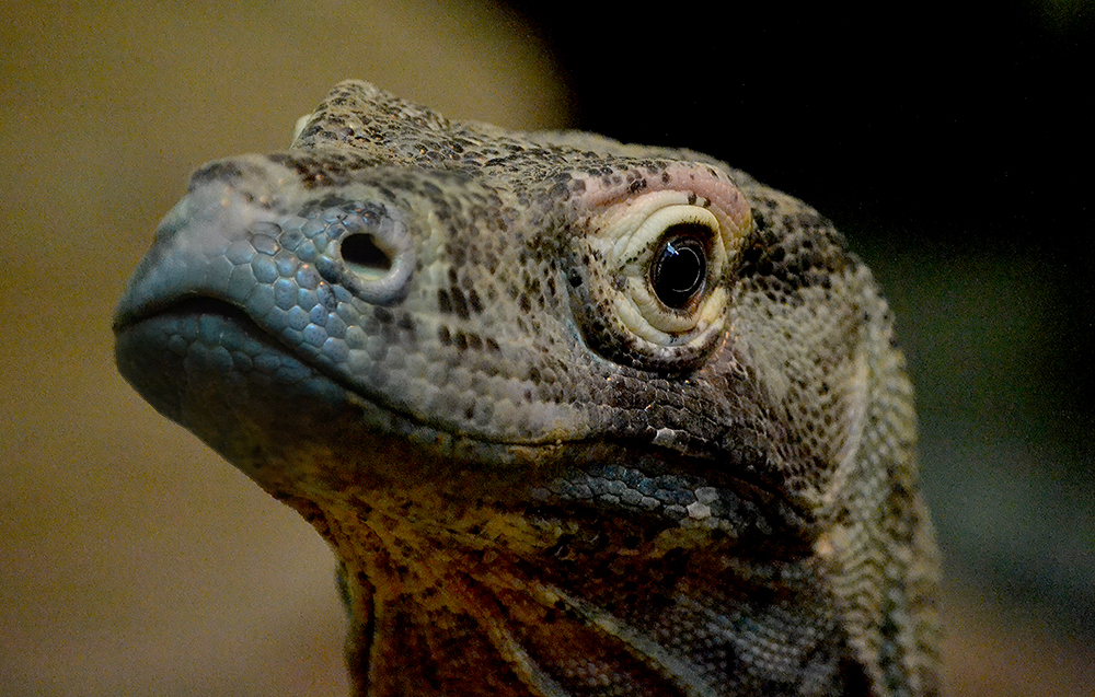 Freedom_to roam_roadtrip. : A Day at the Zoo: Taking time to enjoy ...