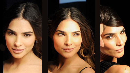 Aryan Anthropology: Pentagon Face Gallery