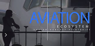 More To Space Than Air?: THE AVIATION LINKED ECOSYSTEM