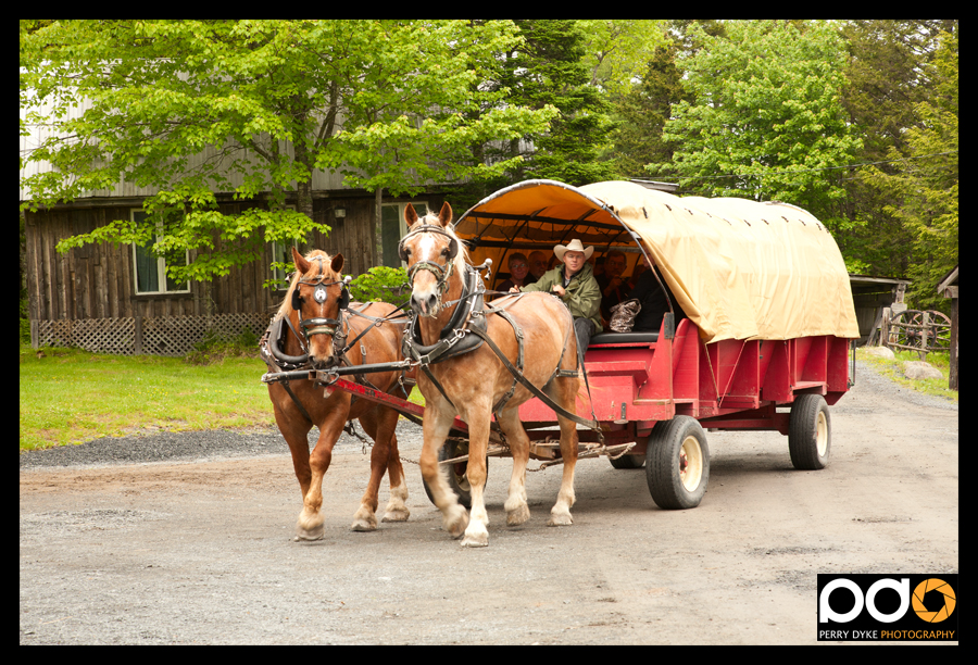 Perry Dyke Photography: Justin and Kim - A Hatfield Farm Wedding