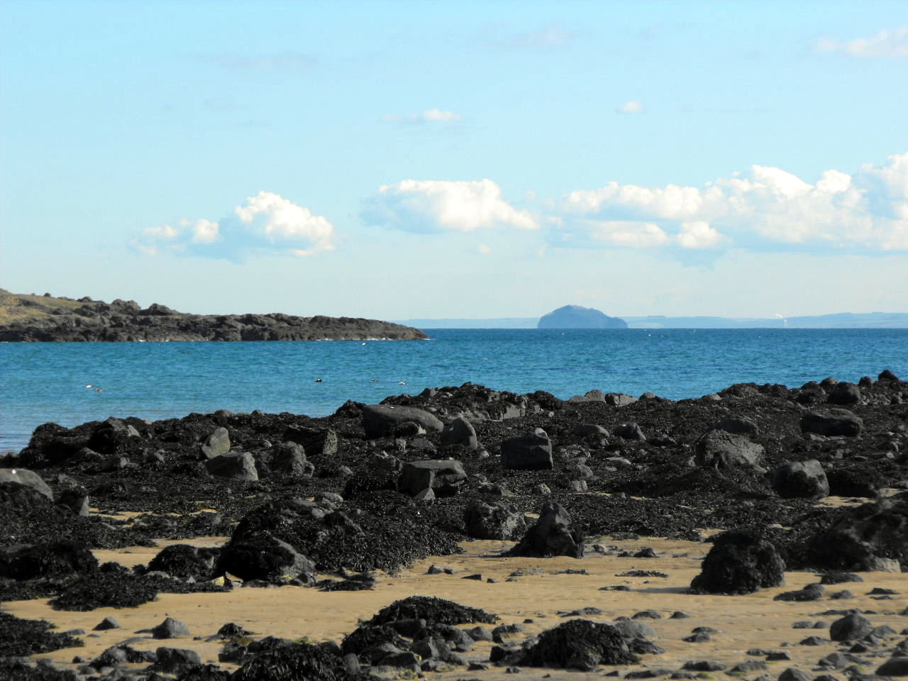 Largo Baywatch: Shell Bay and Ruddons Point