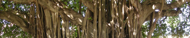 Traduciendo Sandokan: III. El vengador de Hurti