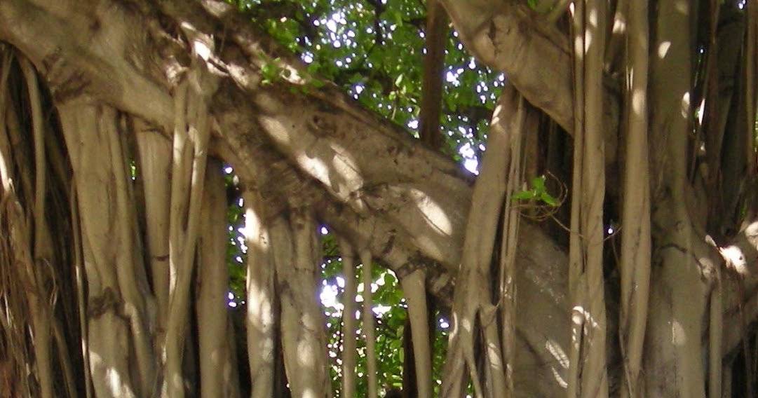 Traduciendo Sandokan: III. El vengador de Hurti