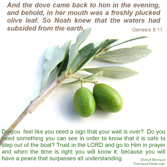 Sheryll Monique: The Visual Verse - Genesis 8:11