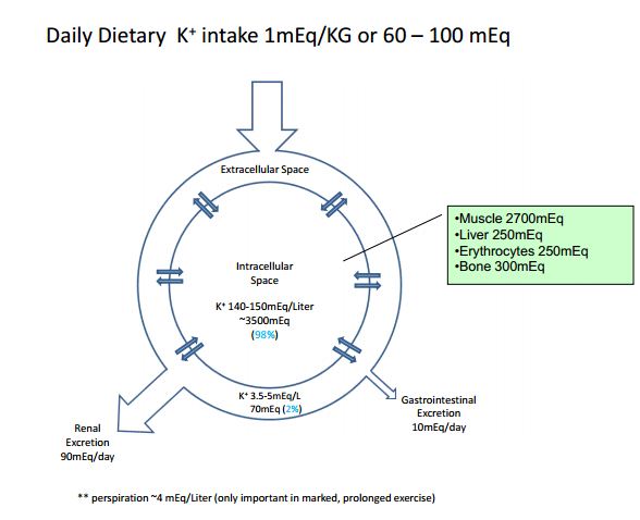 Tutor's Notes: general, cardiovascular, respiratory and renal ...