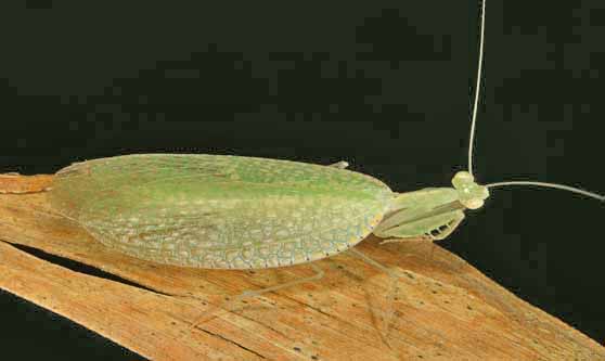 BunyipCo: November 2012