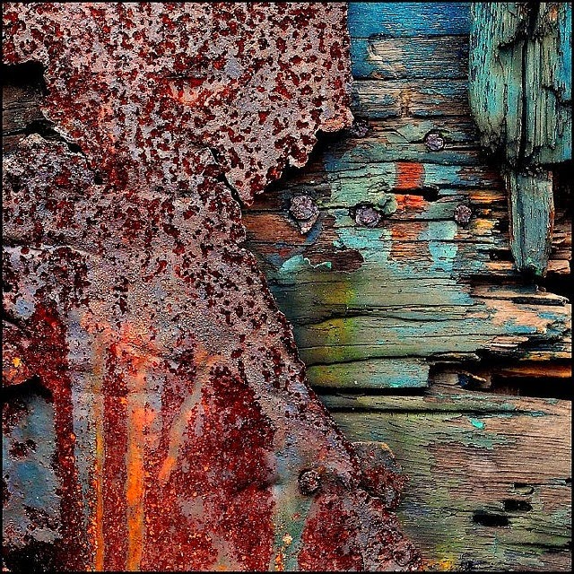 OLTRE IL MURO: ARTE e FOTOGRAFIA: DON TAYLOR | ART