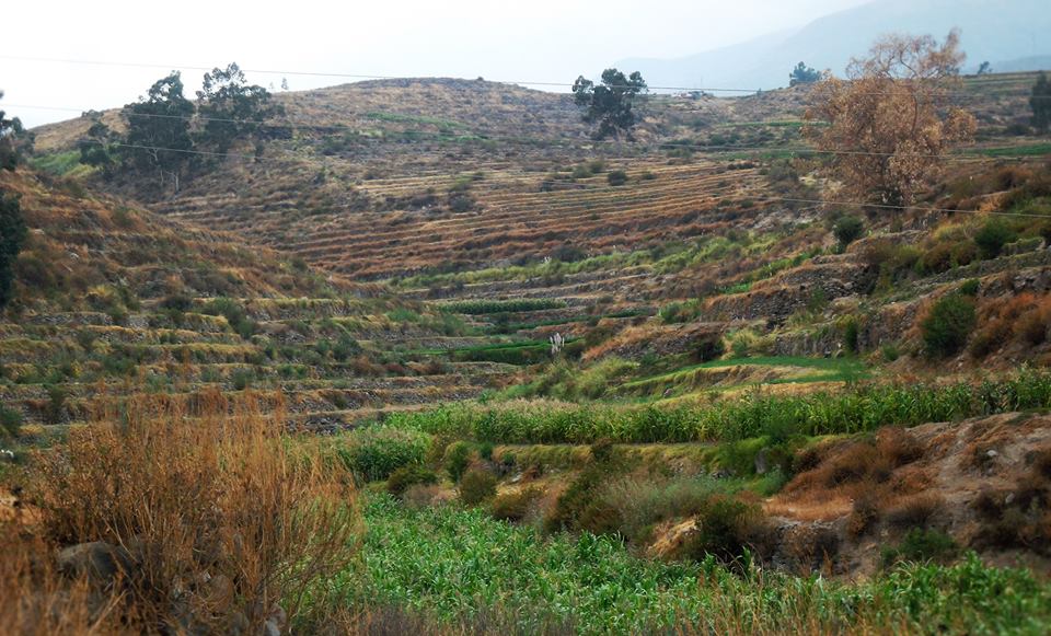 Chiguata Smart Business: Campiña y Andenería de Chiguata