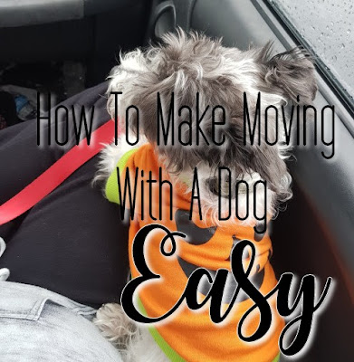 Like Two Sparrows | A Lifestyle Blog: HOW TO MAKE MOVING WITH A DOG EASY!