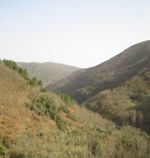 el moderno prometeo: Suelos: Fenómenos de Ladera.