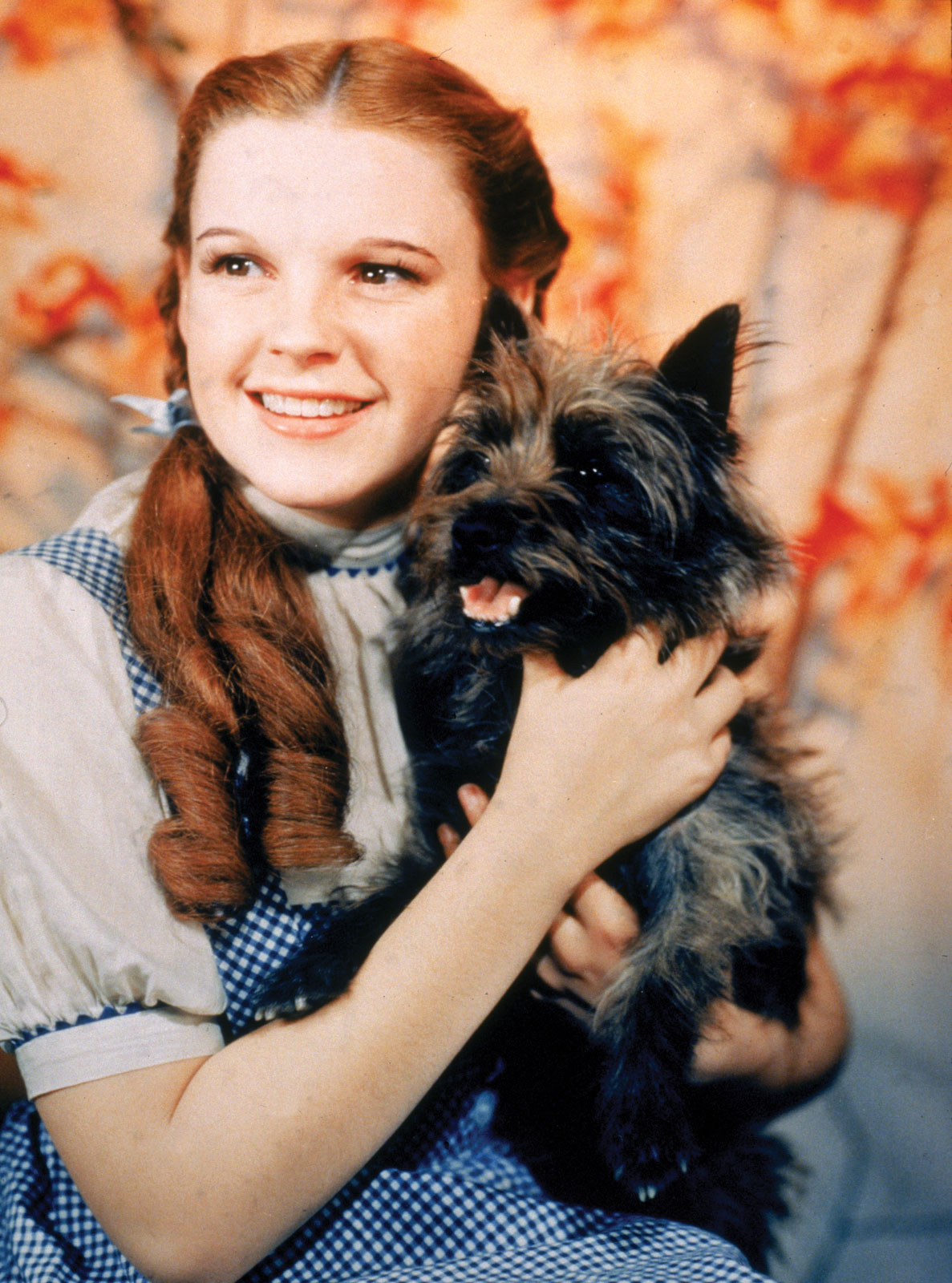 El Mundo Rosa De Barbie Barbie The Wizard Of Oz Dorothy Barbie el-mundo-rosa-de-barbie-barbie-the-wizard-of-oz-dorothy-barbie