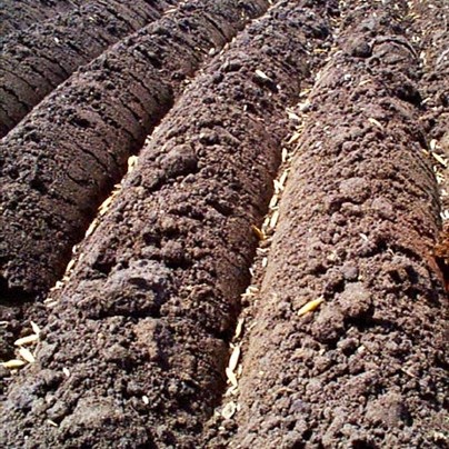 MACAM-MACAM TANAH | AKBAR's BLOG's