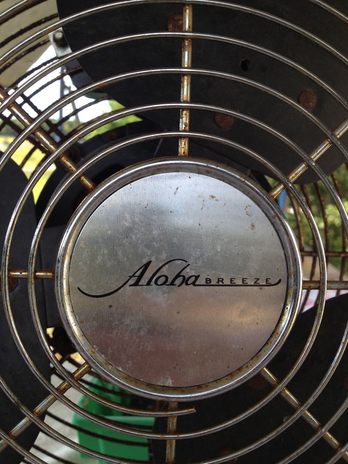 Have You Ever Picked A Carrot?: Wild Maine Blueberries: The King of Fruits