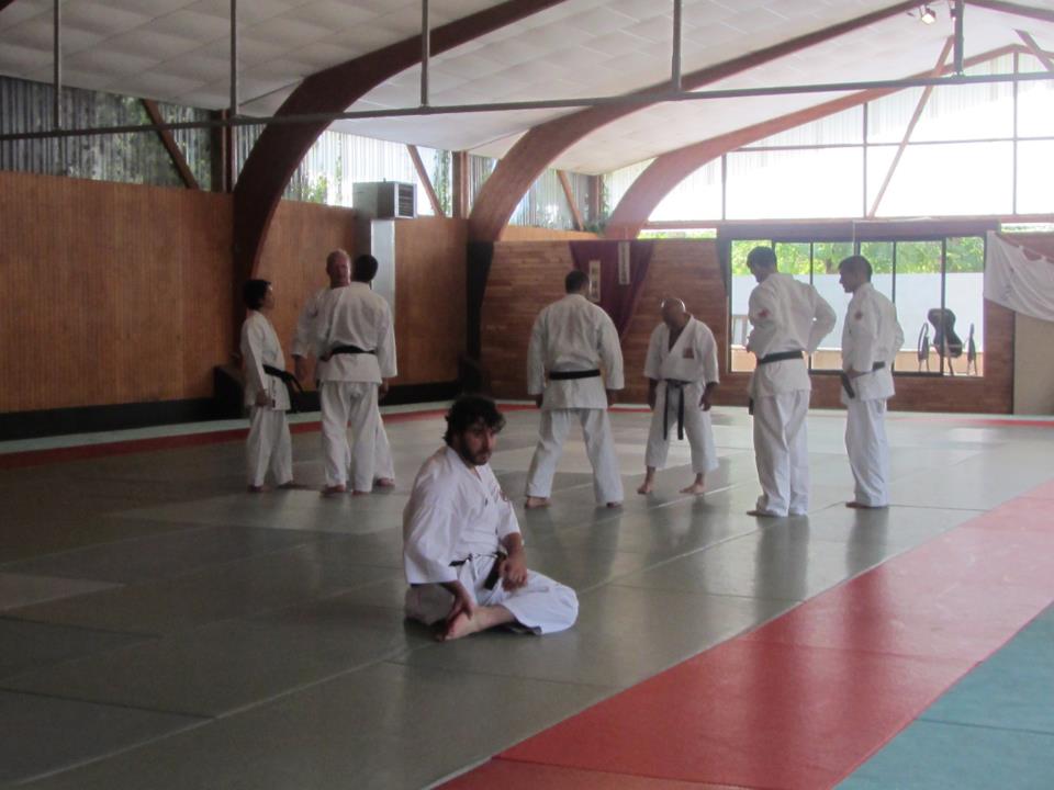 KARATE SHITO RYU ASTURIAS: Curso de Karate Do Kenyukai Uechi Ryu del ...