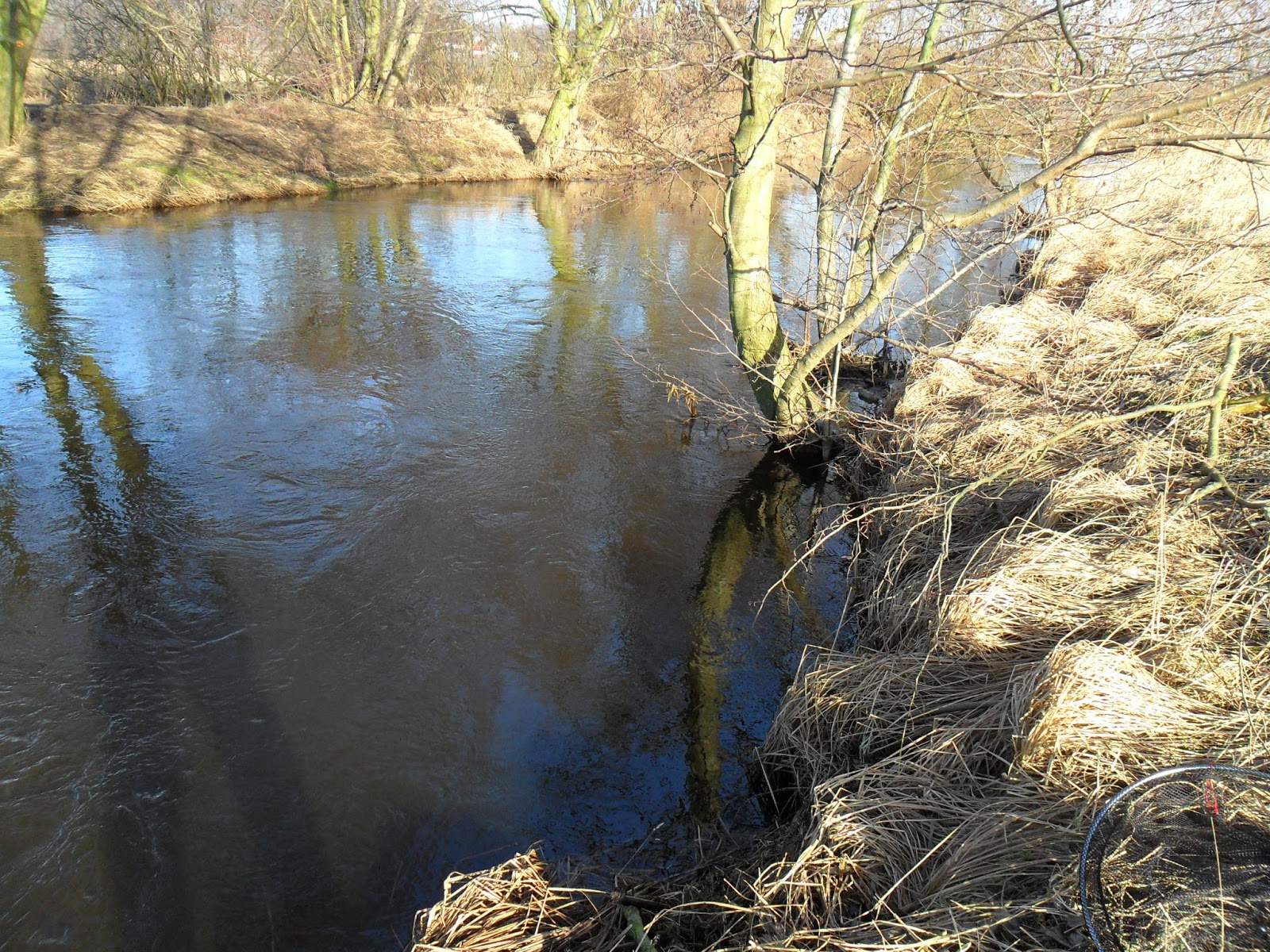 Kenart Wobleromania: TROĆ RZEKA REDA ZIMOWA I LETNIA 2016 Rok