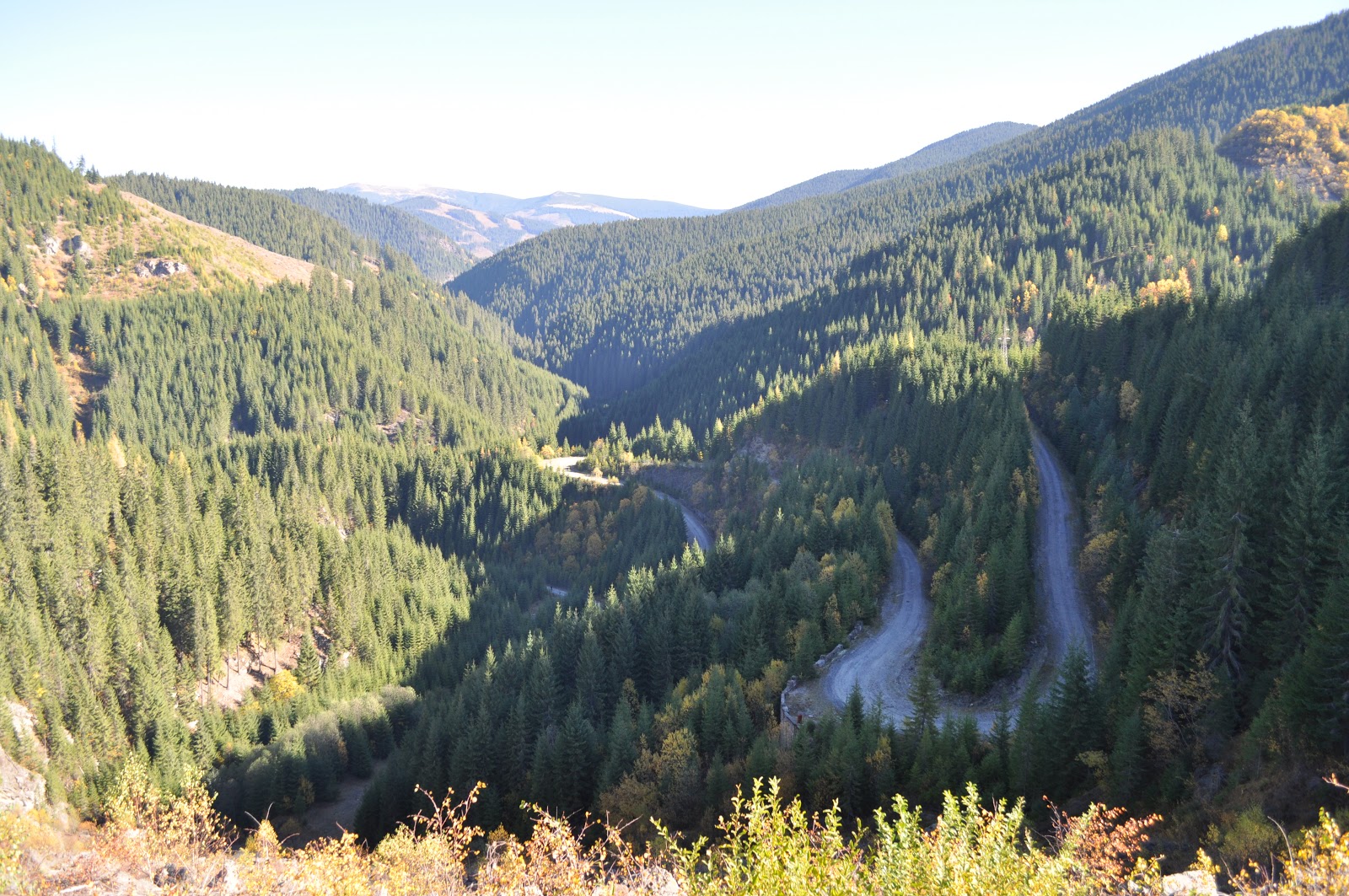 Poze, Natura, Animale, Plante, Romania, Valcea, Ionut Ungureanu