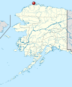 Dull Tool Dim Bulb: The Amazing Story of Jesse T. Stubbs Monument ...