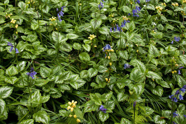 Peach and Thistle: The Garden of Cosmic Speculation, at Portrack House ...