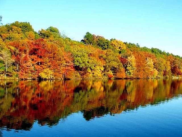 Beautiful Fall Pictures : Let's Celebrate!