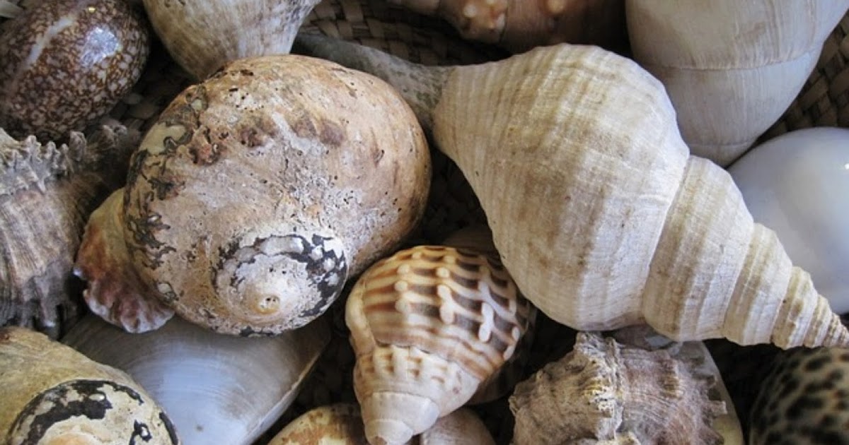 Tradisi Bameti dan Balobe Di Maluku Tengah - Lalaukan