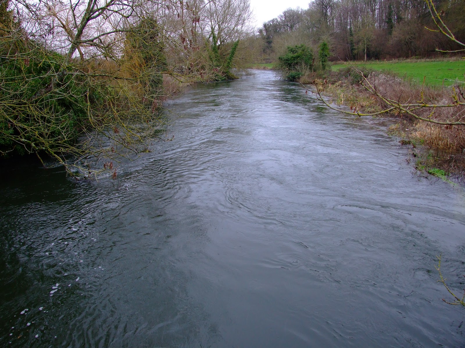 Canoeing and Kayaking on The River Kennet: New year high levels for the ...