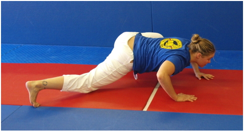 The Business/Judo of Life: Animal Judo II: The Gecko