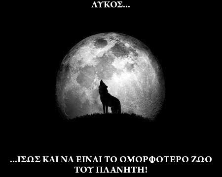 Καταραμενοι Ποιητες...: Μην είσαι αφελής φίλε μου...