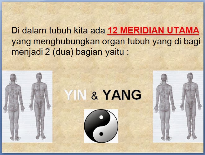 AIRBOOM INDONESIA : Apa itu AKUPUNTUR? Apa itu MERIDIAN?