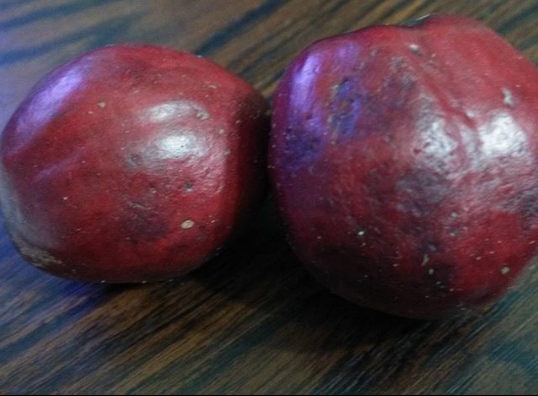 Buah Mahkota Dewa Ubat Tradisional