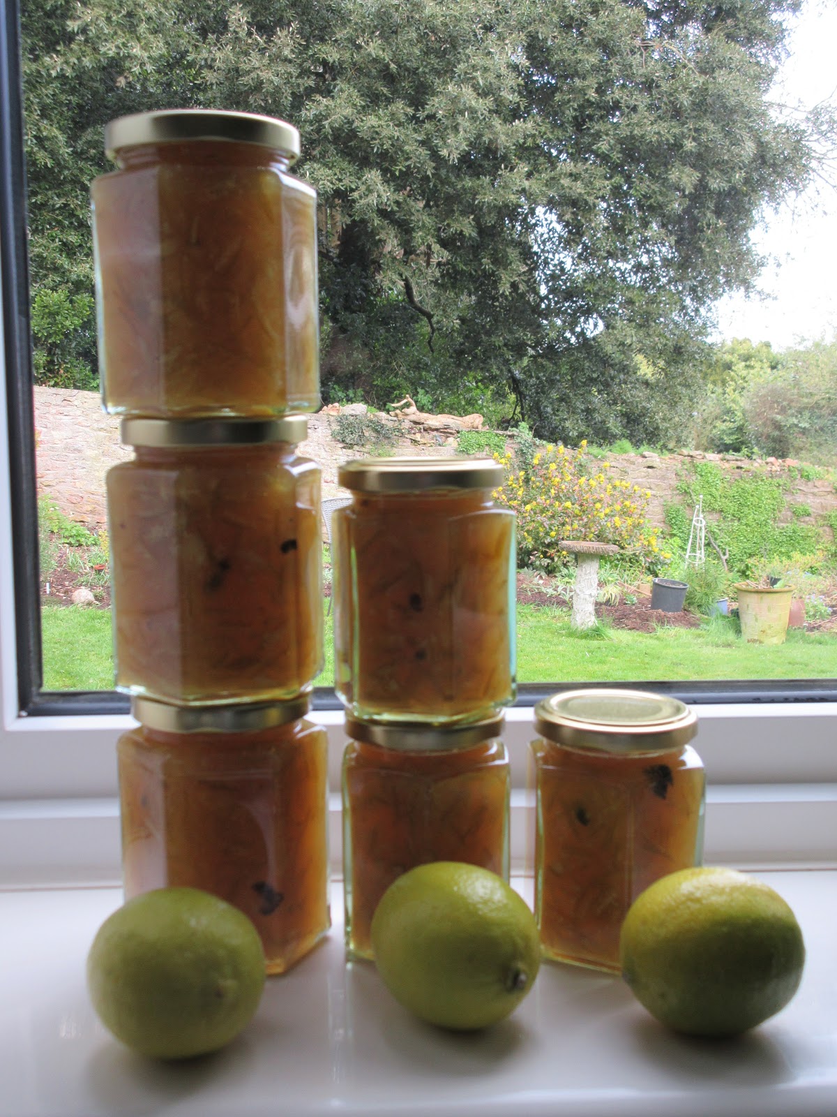 Mrs Mace Preserves: Lime Marmalade several ways using the Pressure Cooker
