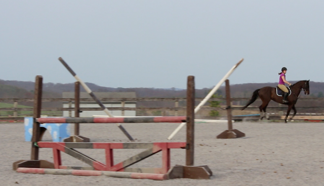 Spring Training Canter Exercises