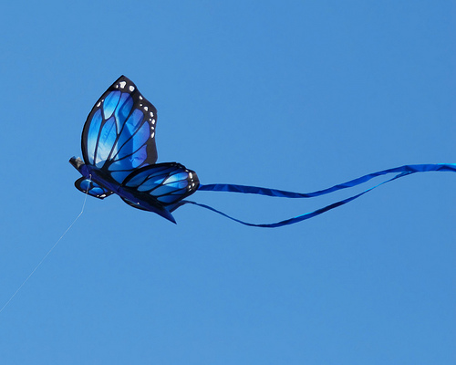 best photos 2 share: Beautiful Kite Pictures