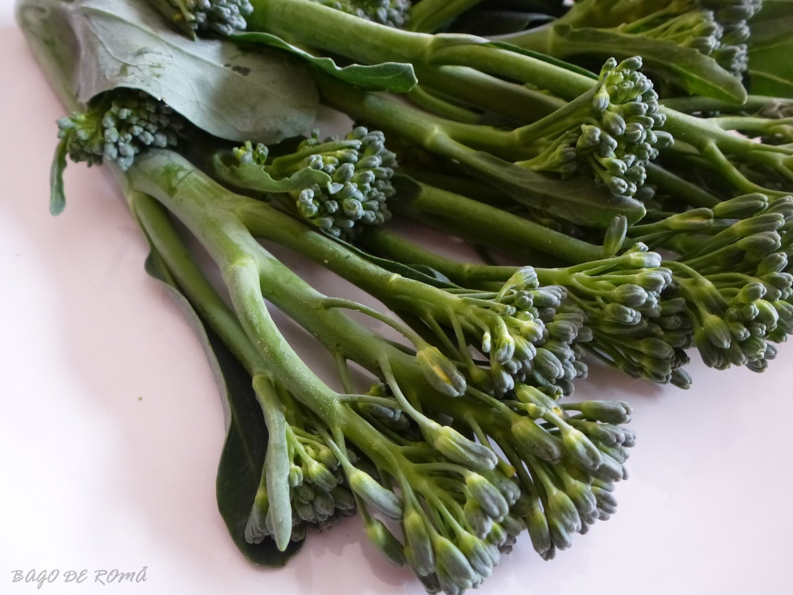 Bago de Romã: "Conhecer Melhor" - Bimi ou Mini-Brócolos ou Broccolini