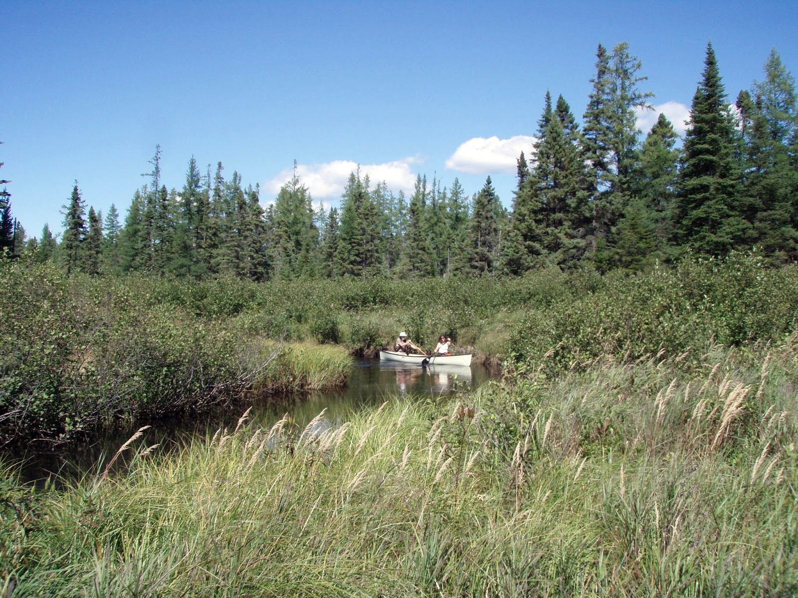 LAKE LILA>LOWS LAKE>OSWEGATCHIE RIVER thru trip.
