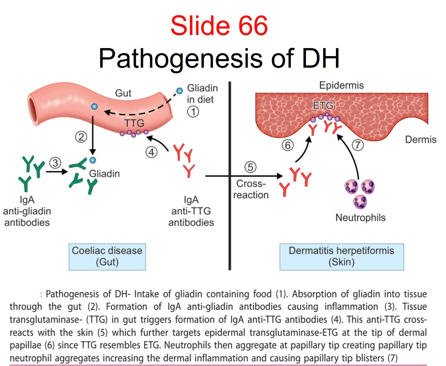 Teledermatology for PG entrance