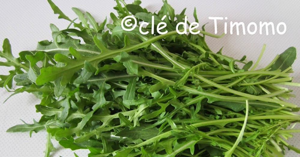 Clé de Timomo: ルッコラ／ルーコラ／ロケット