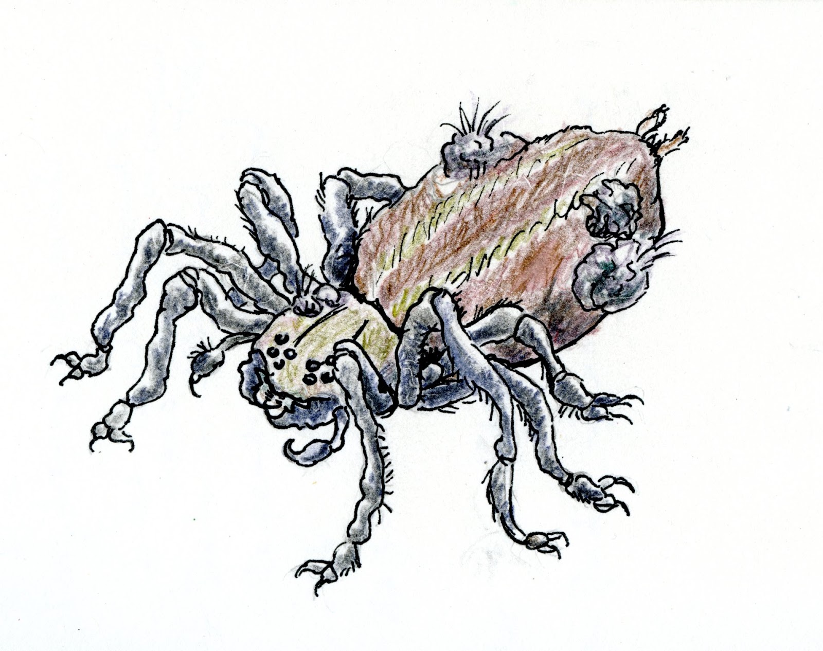 Leicester's Ramble: 2018