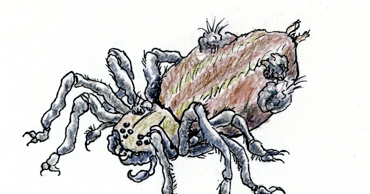 Leicester's Ramble: Monster: The Tumorous Spider