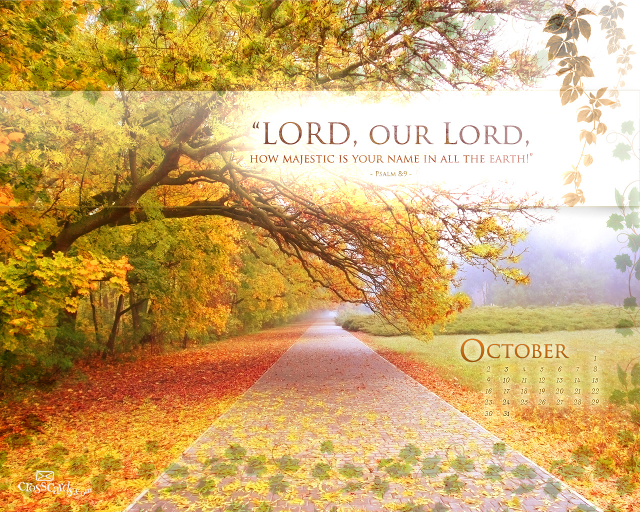 ¿CUAL ES LA DIFERENCIA ENTRE UN FANATICO RELIGIOSO I UN FANATICO DE ...