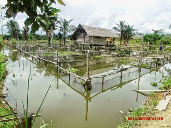 Keramba jaring tancap