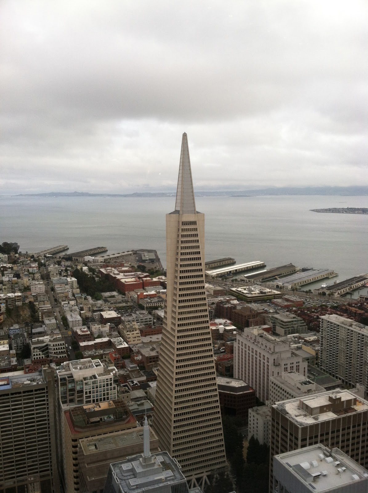 Adventures in Diving and Dining