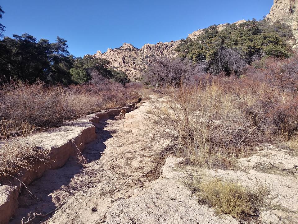Dog Snot On My Windshield: Council Rocks via Slavin Gulch (Dragoon ...